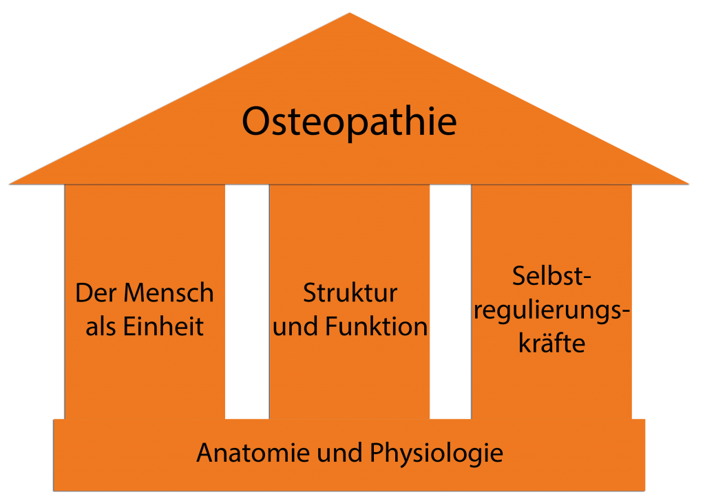 Was ist Osteopathie? – Osteopathie Letterer