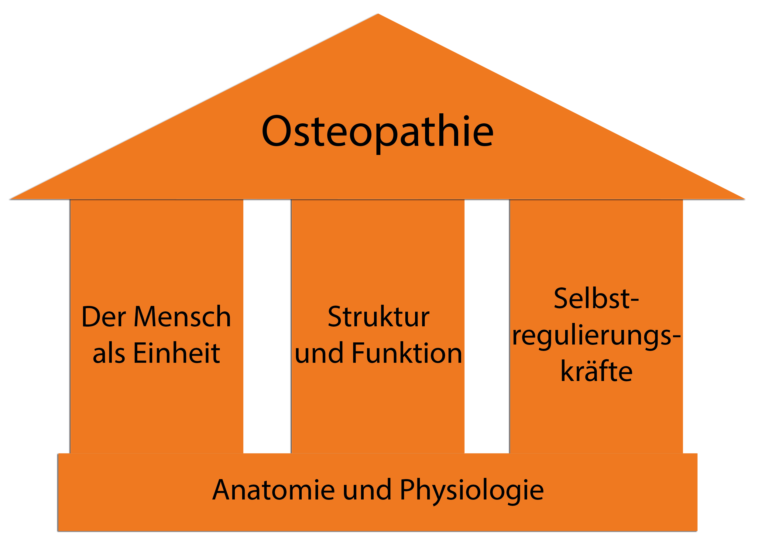 Was ist Osteopathie? – Osteopathie Letterer